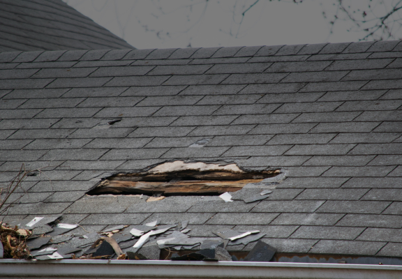 What To Expect During A Roof Inspection I Blue Fox